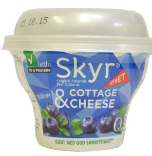 Blueberry FoodTech: Skyr from Norway