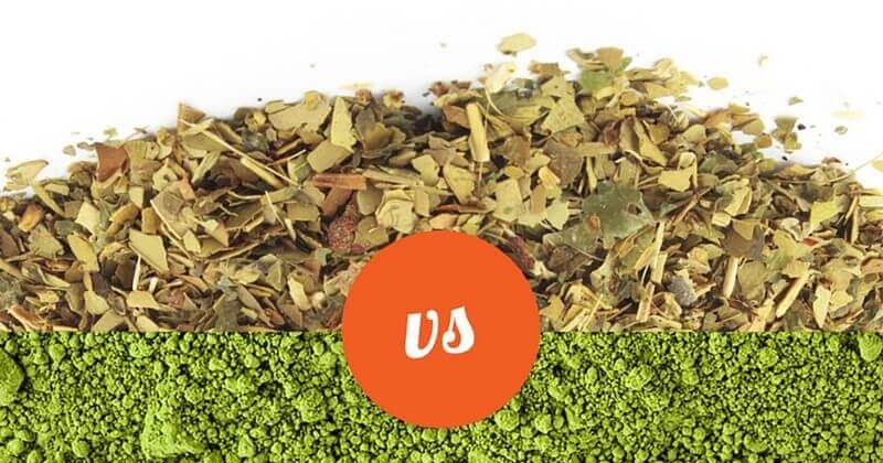 Yerba Mate Tea and Green Matcha Tea