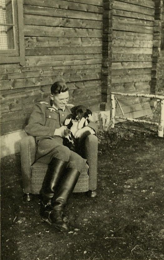 World War II in Pictures: Dogs of World War II