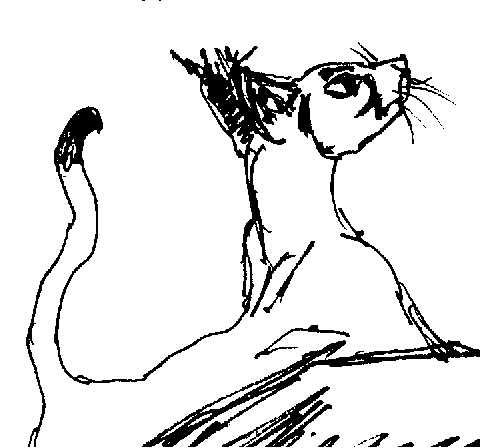 Studded Plate: Wild Cats for D&D 5E