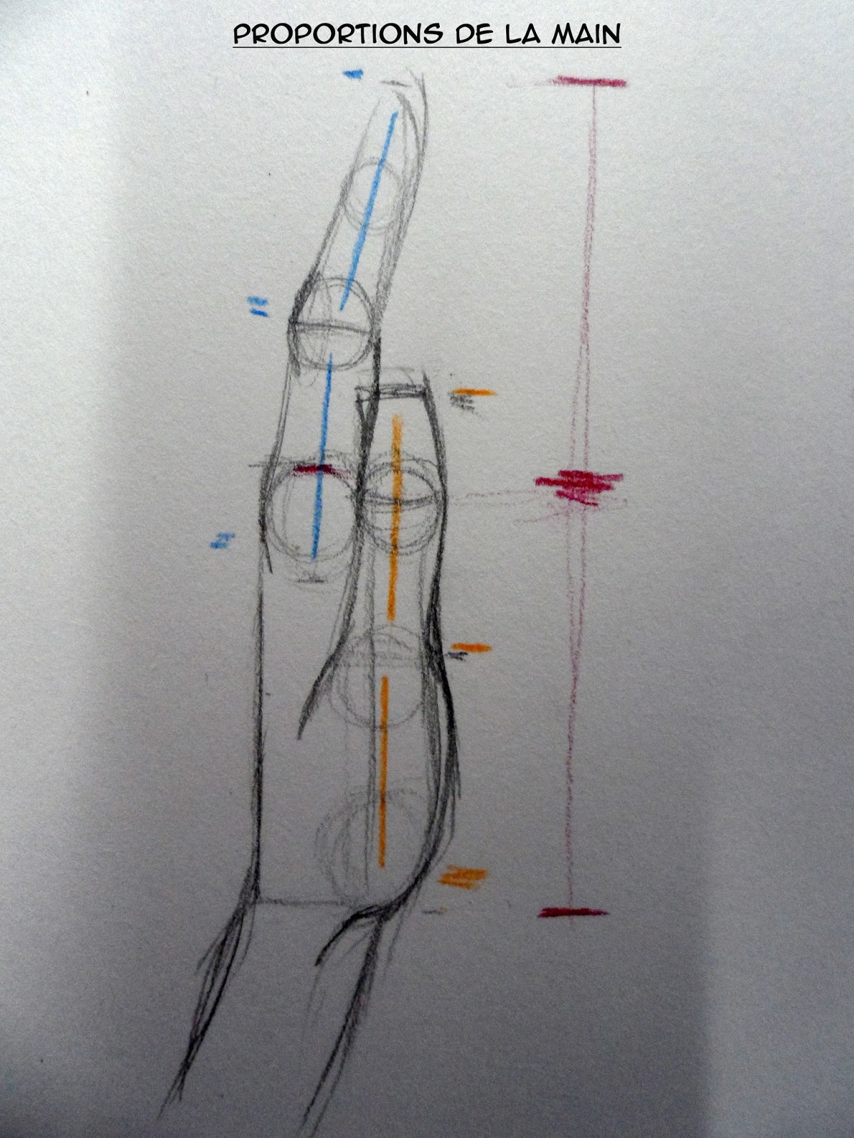 Dessin, illustration, strip, ...: Cours du mercredi: étude de la main