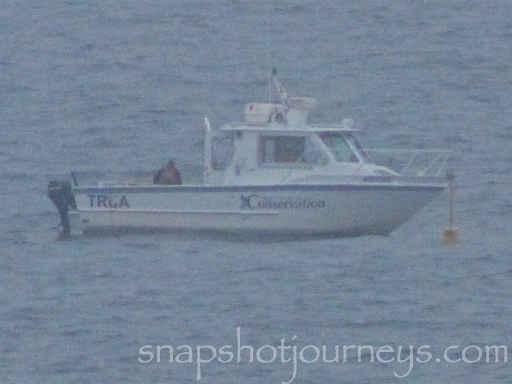 Snapshot Travel Blog: Port Credit Mississauga Snapshots : Boats ...