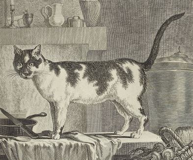 Rodama: a blog of 18th-century & Revolutionary France: Enlightenment cats