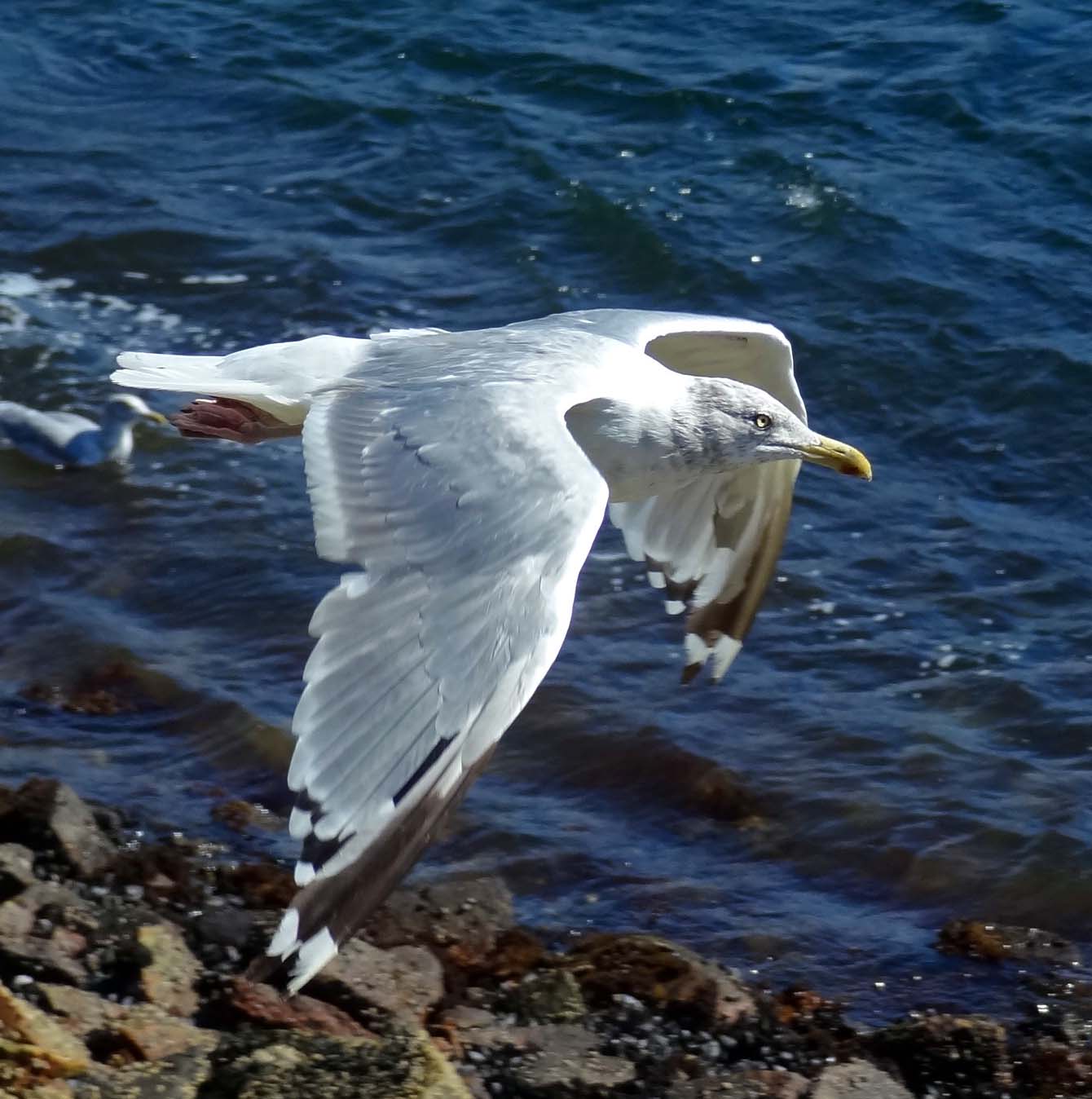 Joe's Retirement Blog: Sun and Wind