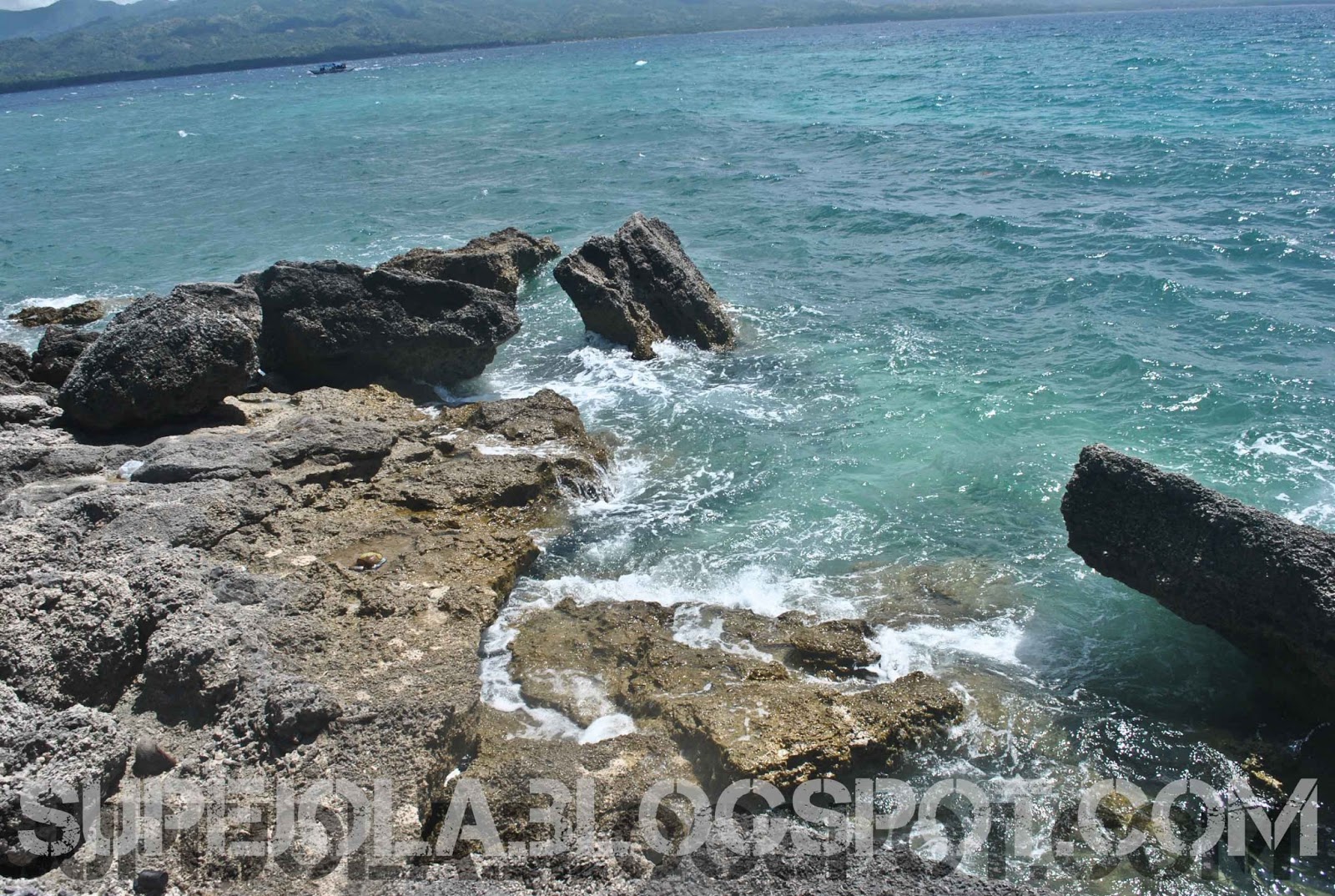 EXPERIMENTAL DISH : GASPAR ISLAND, MARINDUQUE
