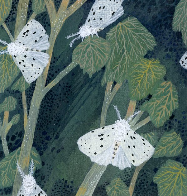 pinkpagodastudio: Illustrator, Becca Stadtlander