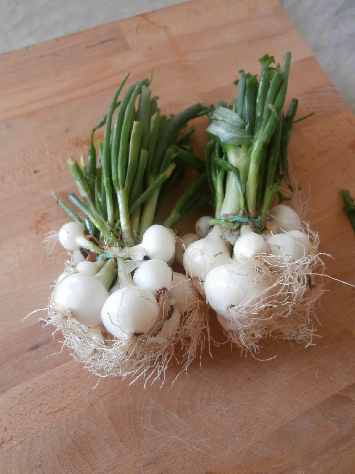 My Culinary Curriculum: Petits oignons grelots caramélisés au golden ...
