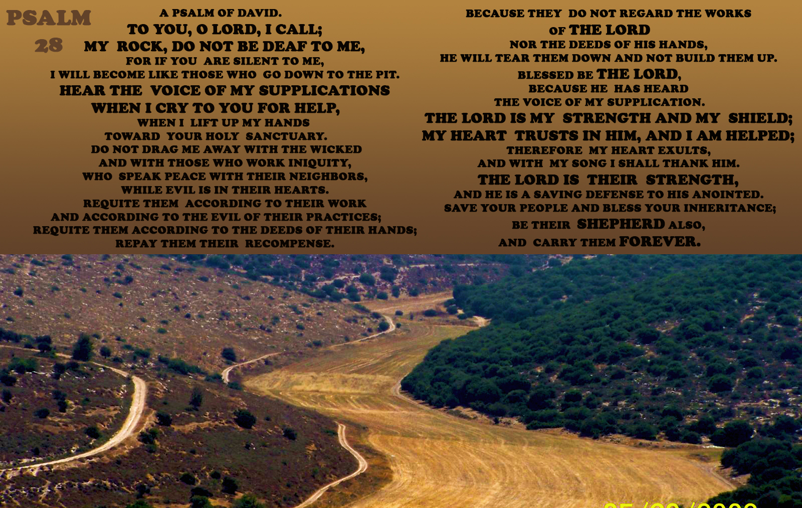 Prayer And Bible Expo Psalm 28 prayer-and-bible-expo-psalm-28