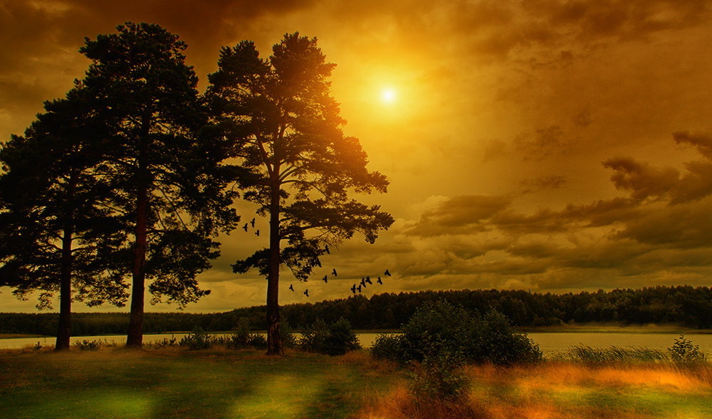 World's Beautiful things around us !: Beautiful nature| Eye cooling ...