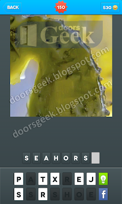 Zoomed In - Photo Word Game Level 150 ~ Doors Geek
