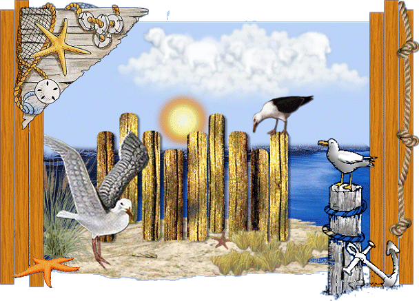 ® Imágenes y Gifs Animados ®: IMÁGENES DE GIFS DE VERANO - SUMMER