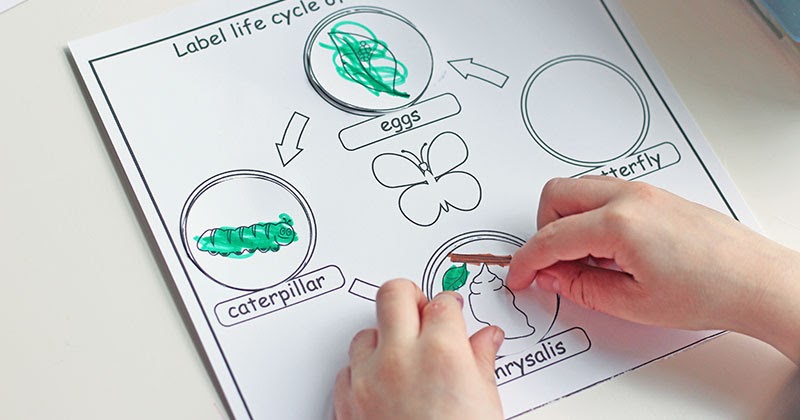 10 Free Printable Insect Activity Pages & Coloring Sheets | Sunny Day ...