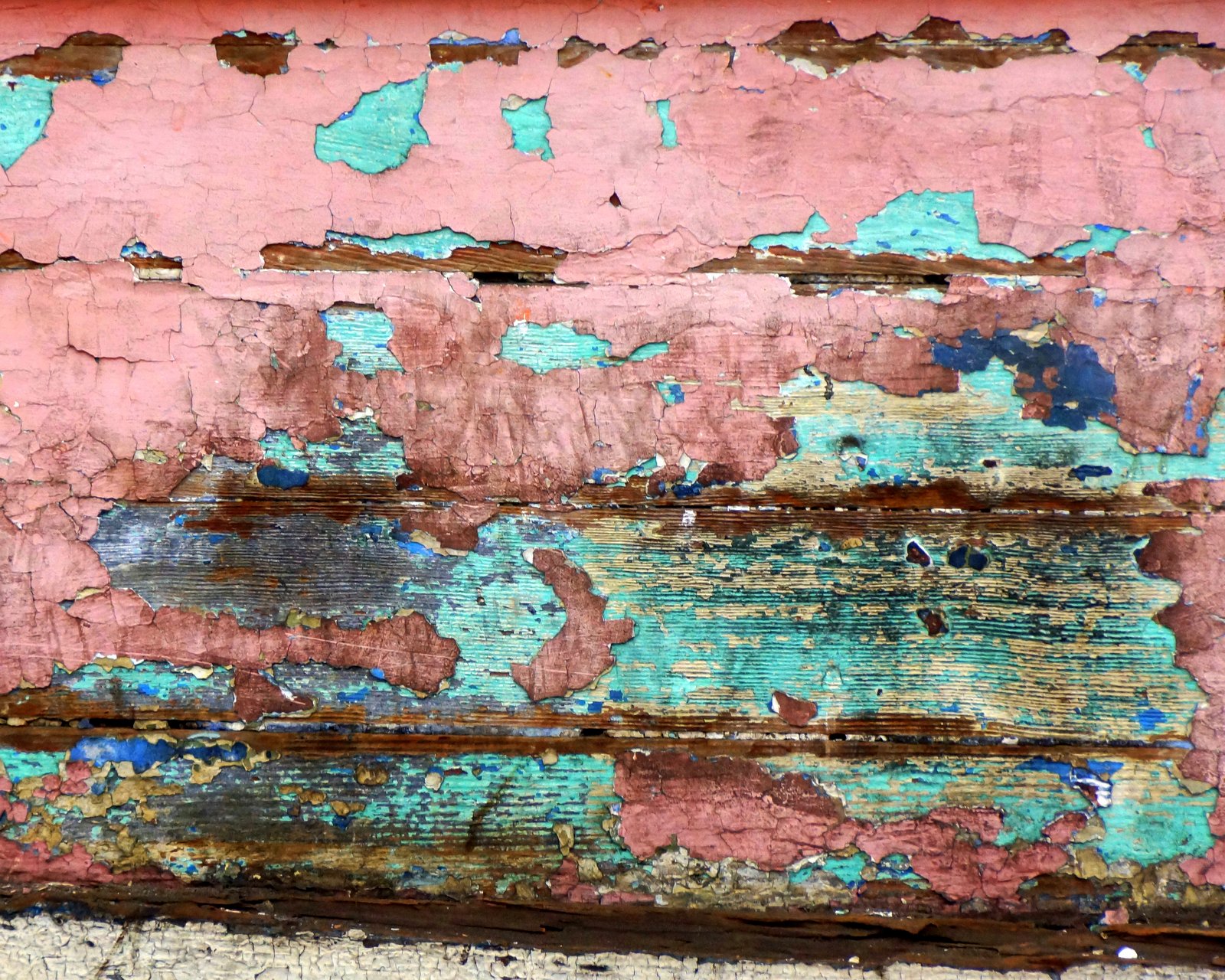 Cecilia Serrano Photos: 100xciento