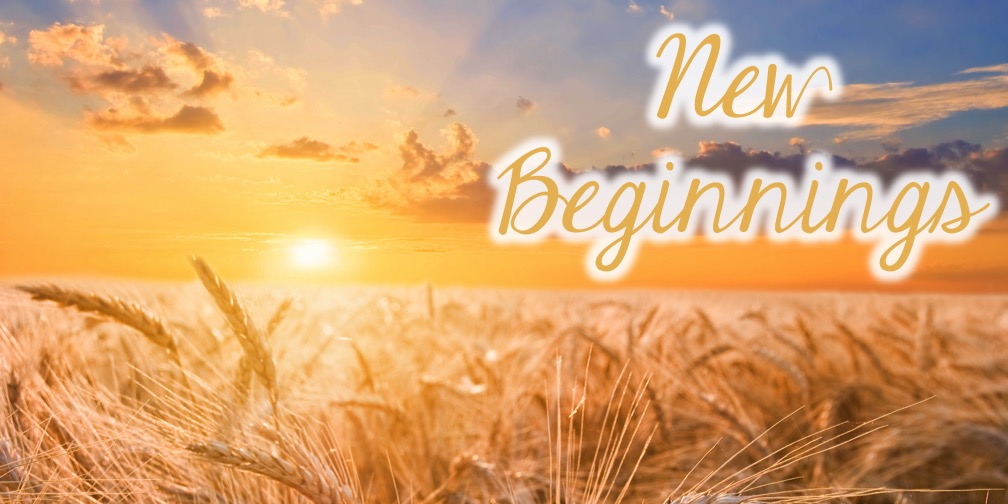 New Beginnings - Teaching Tales Along the Yellow Brick Road
