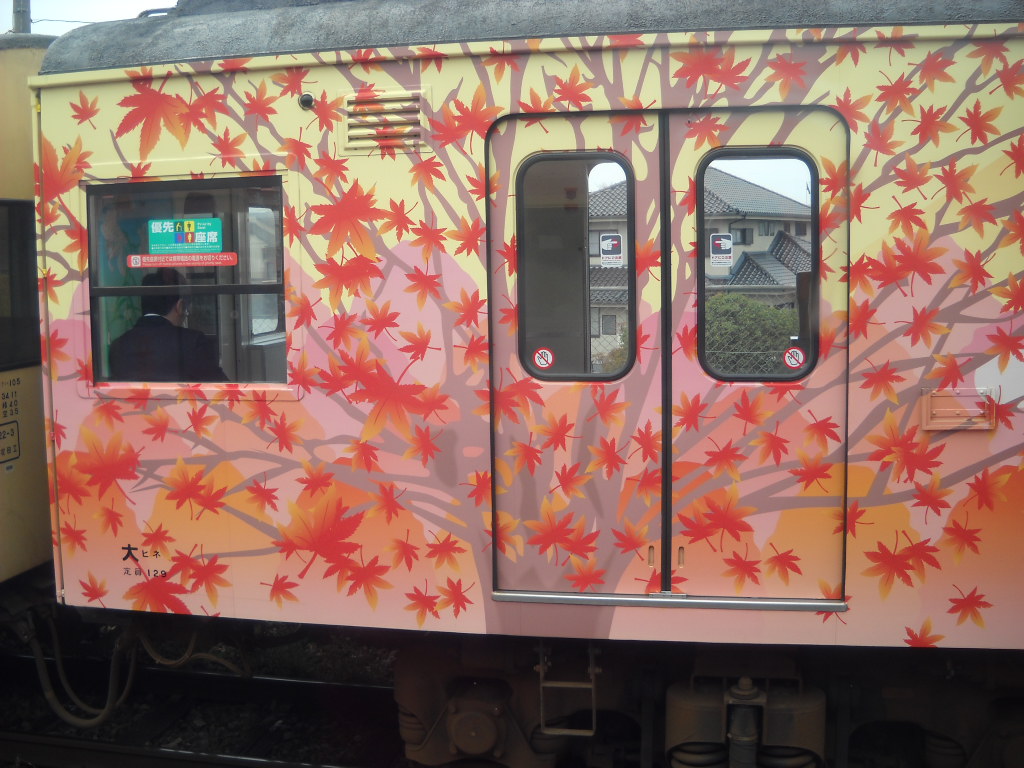 Daily Glimpses of Japan: Momiji And Autumn Train, Japan
