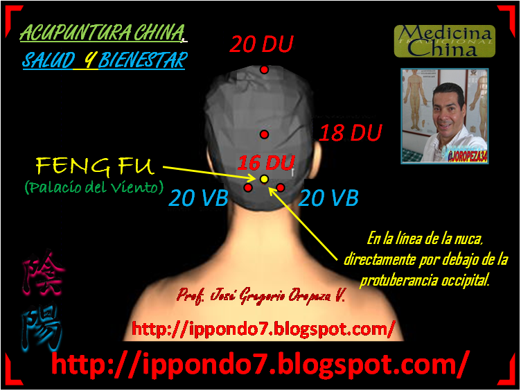 ACUPUNTURA CHINA, SALUD Y BIENESTAR: FENG FU