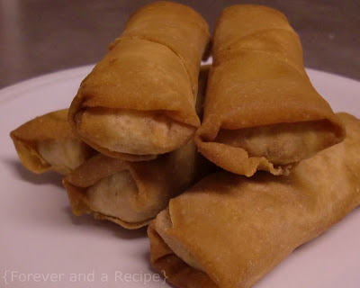 Recipe: Chicken Fajita Spring Rolls - Sara Levine