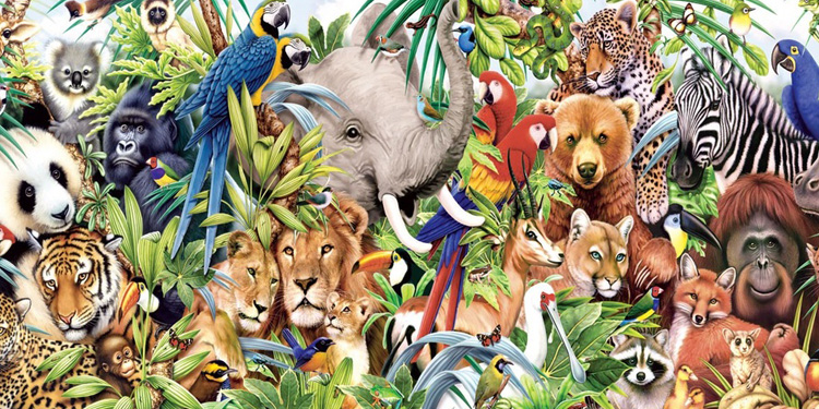 Az otthon ízei: Állatok világnapja van ma