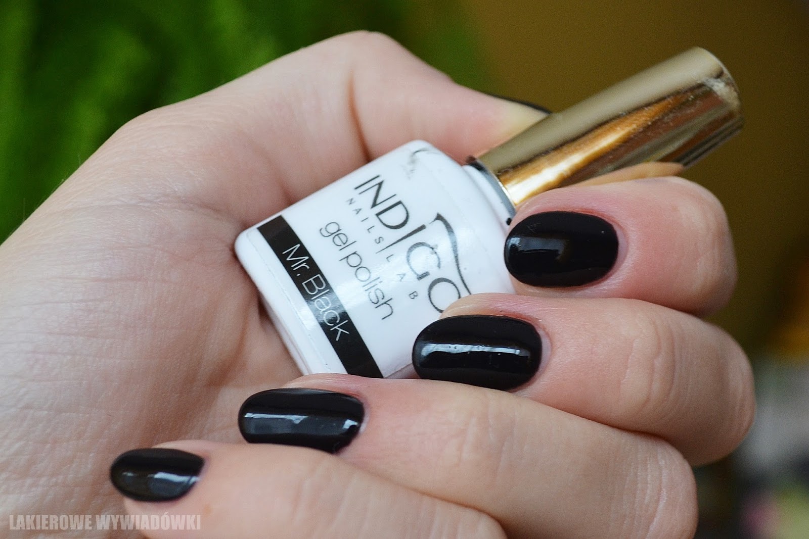lakierowe wywiadówki: Indigo Nails gel polish - Mr. Black