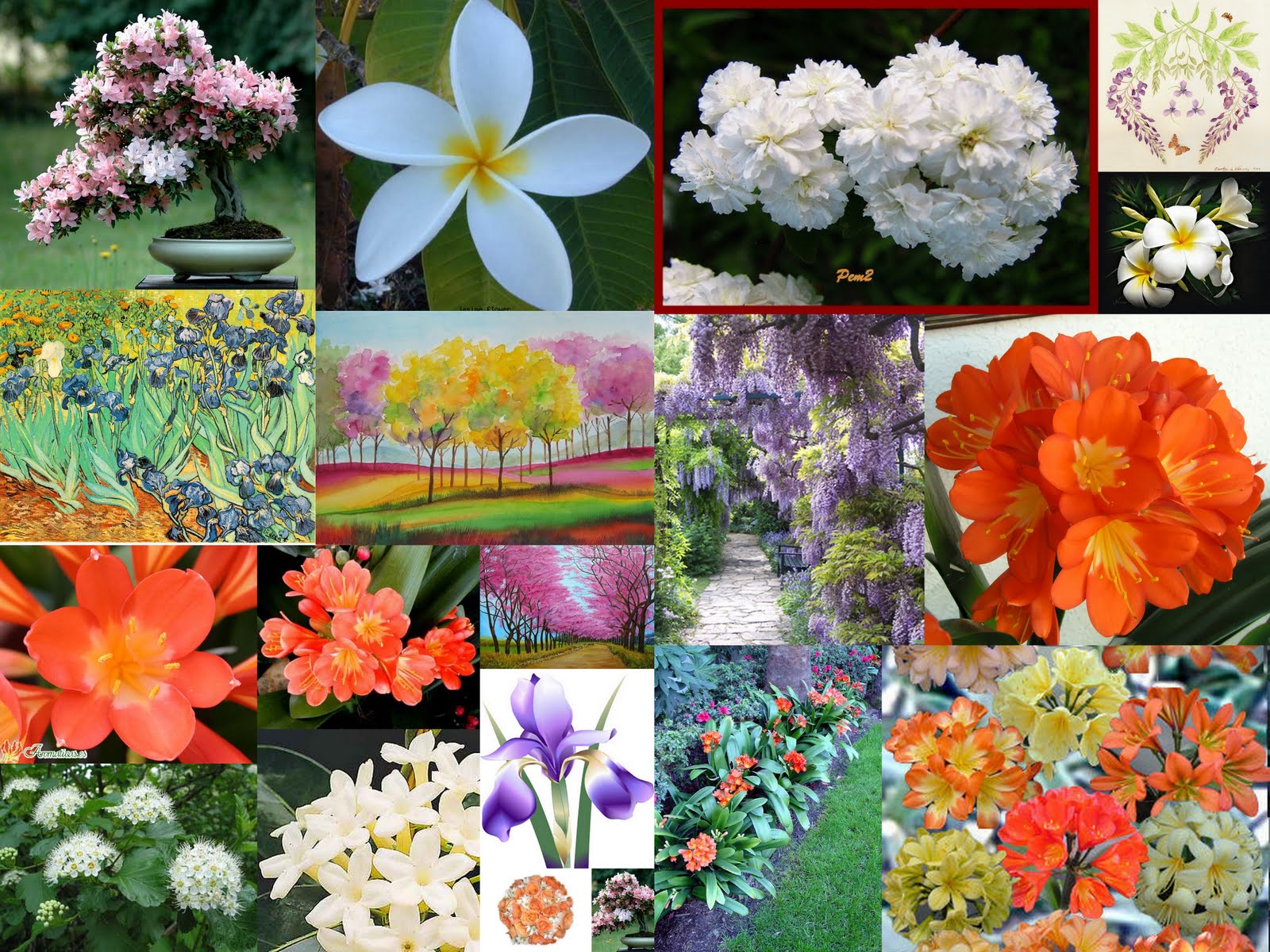 Jardineria i Natura: Plantas de primavera