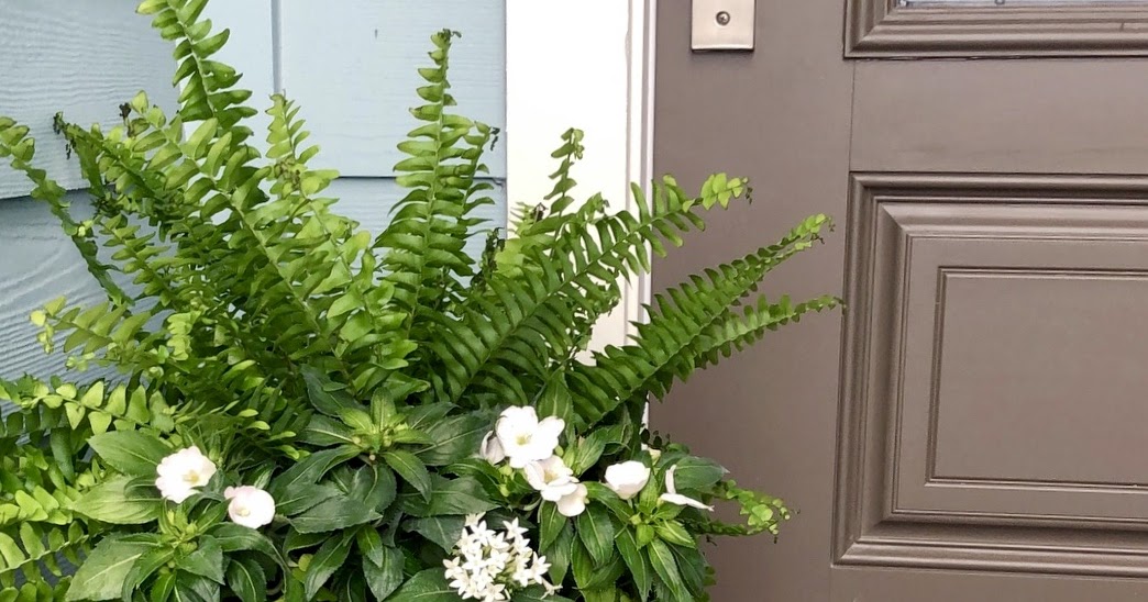 Easy DIY Mixed Planters | The Everyday Aesthetic