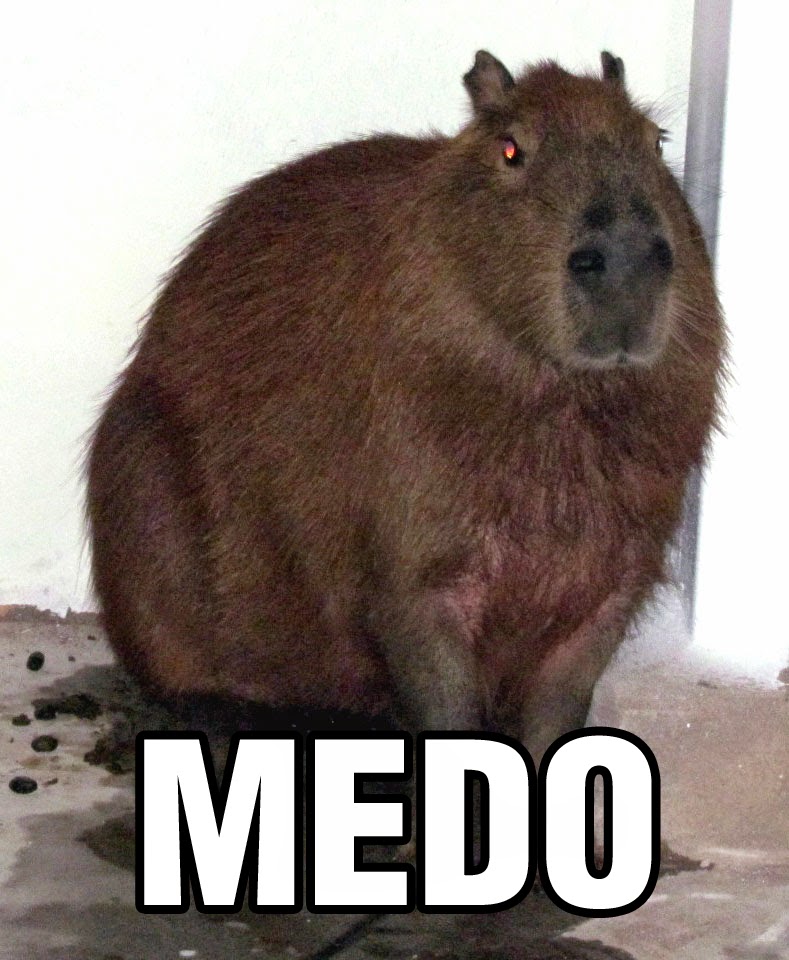 Capivara Godofredu | Blog de Humor: 14 memes de capivaras para ...