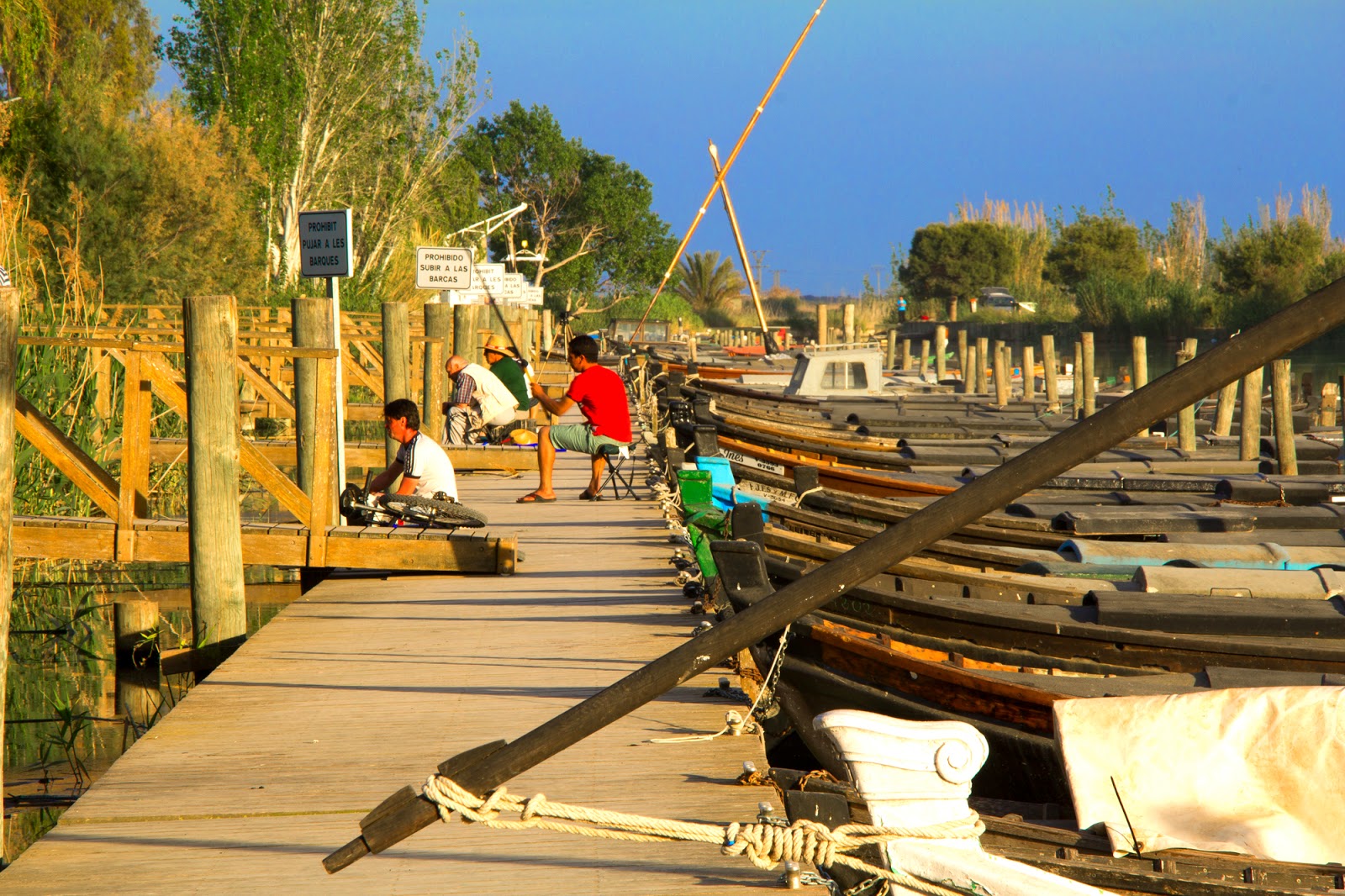 PERSIGUIENDO LA LUZ: 1/5/15 - 1/6/15