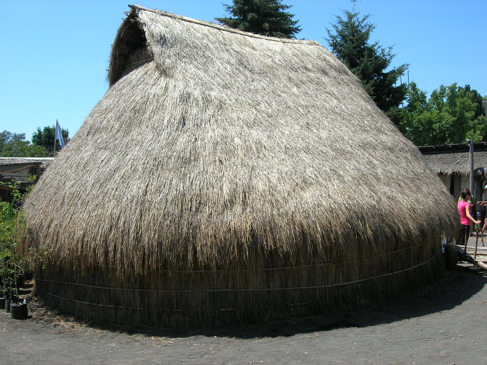 habitatio_2: Mapuche ruca / Mapuche Ruca