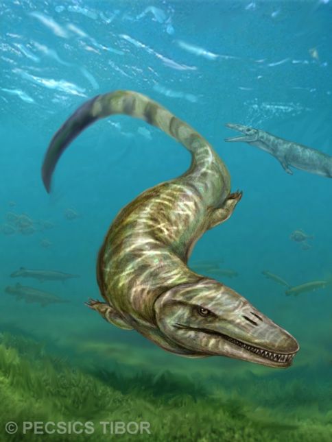 Species New to Science: [Paleontology • 2012] Pannoniasaurus ...