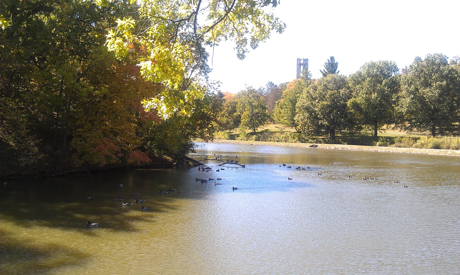 Washington Park in Springfield IL
