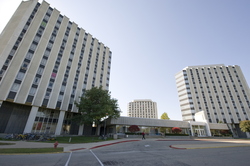 Project Thesis NIU: Demystifying the UWC's "Dissertate in Eight" Program