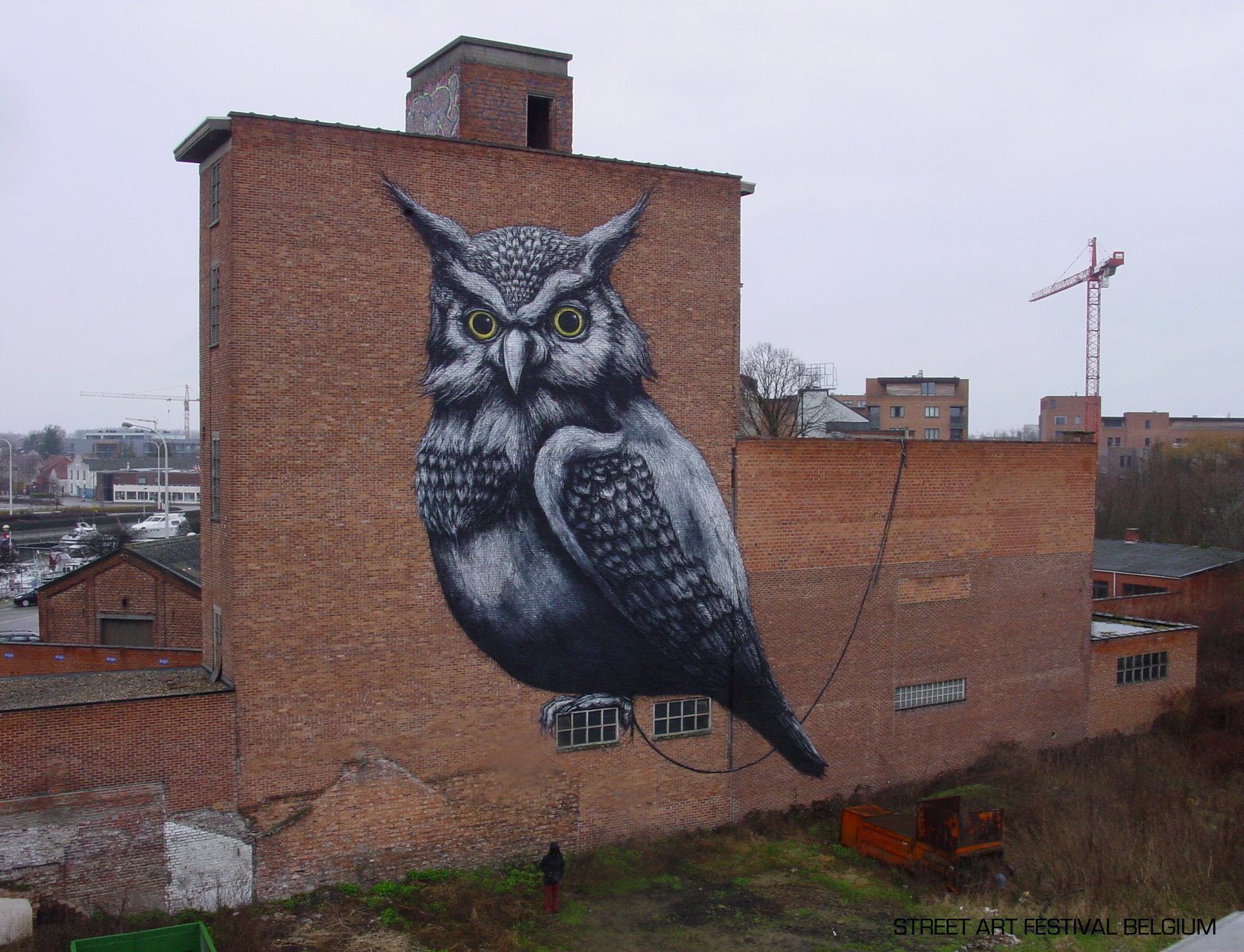 ROA New Mural In Hasselt, Belgium | StreetArtNews | StreetArtNews