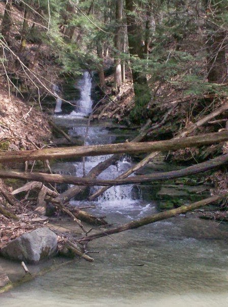 Argetsinger Family Tree