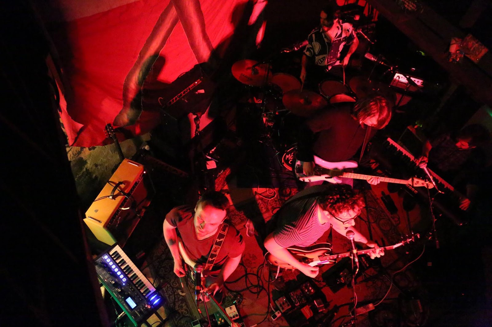 The Blog That Celebrates Itself: The Rooks Have Returned with Land ...