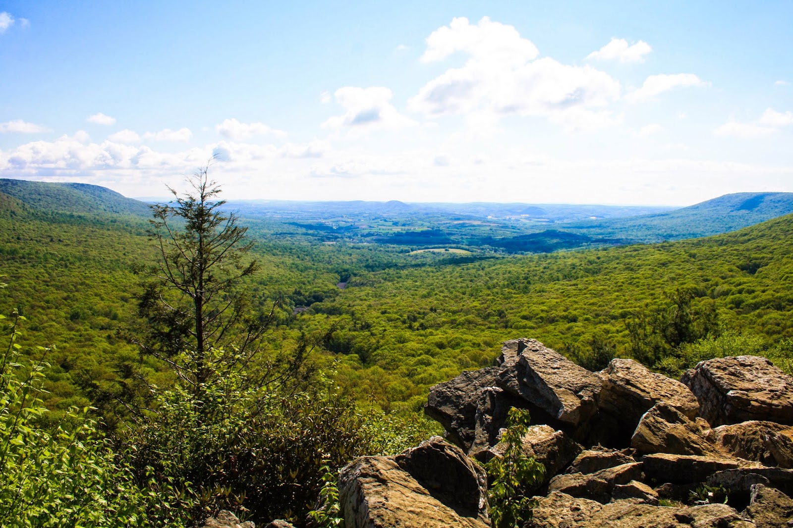 Natural Mid-Atlantic : Hawk Mountain Sanctuary - River of Rocks Circuit ...