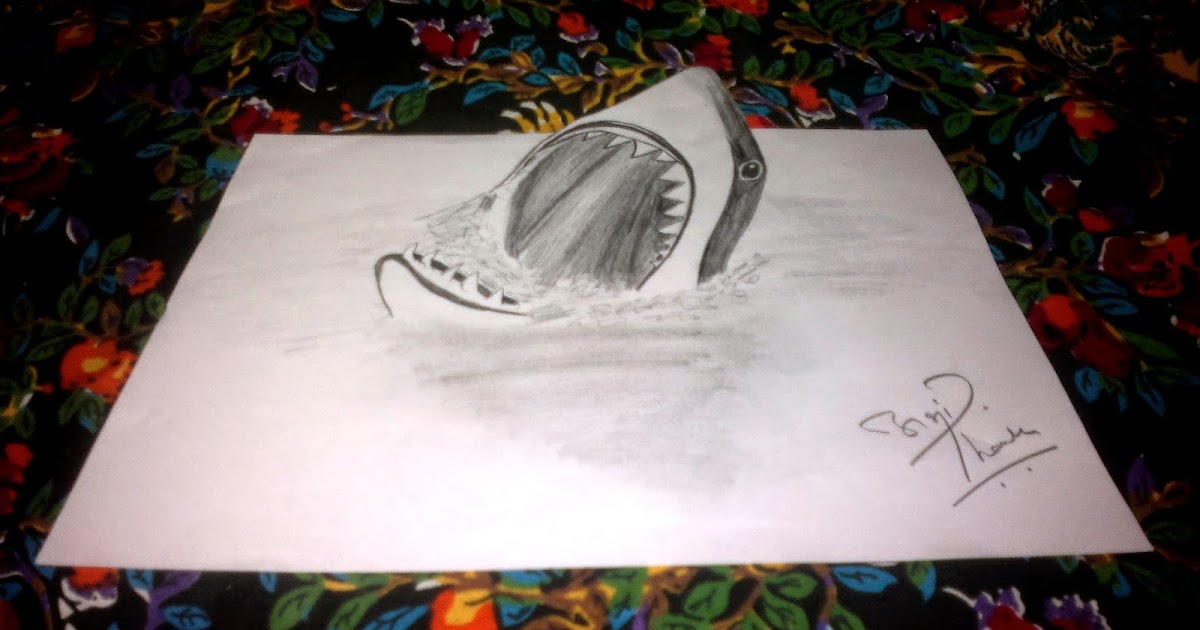 3D Sketch | Shark