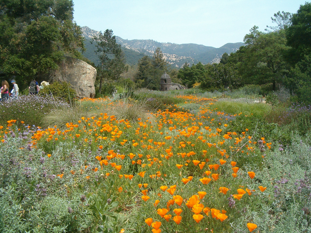 Student Chapter of ASLA: Santa Barbara Botanic Garden Tour