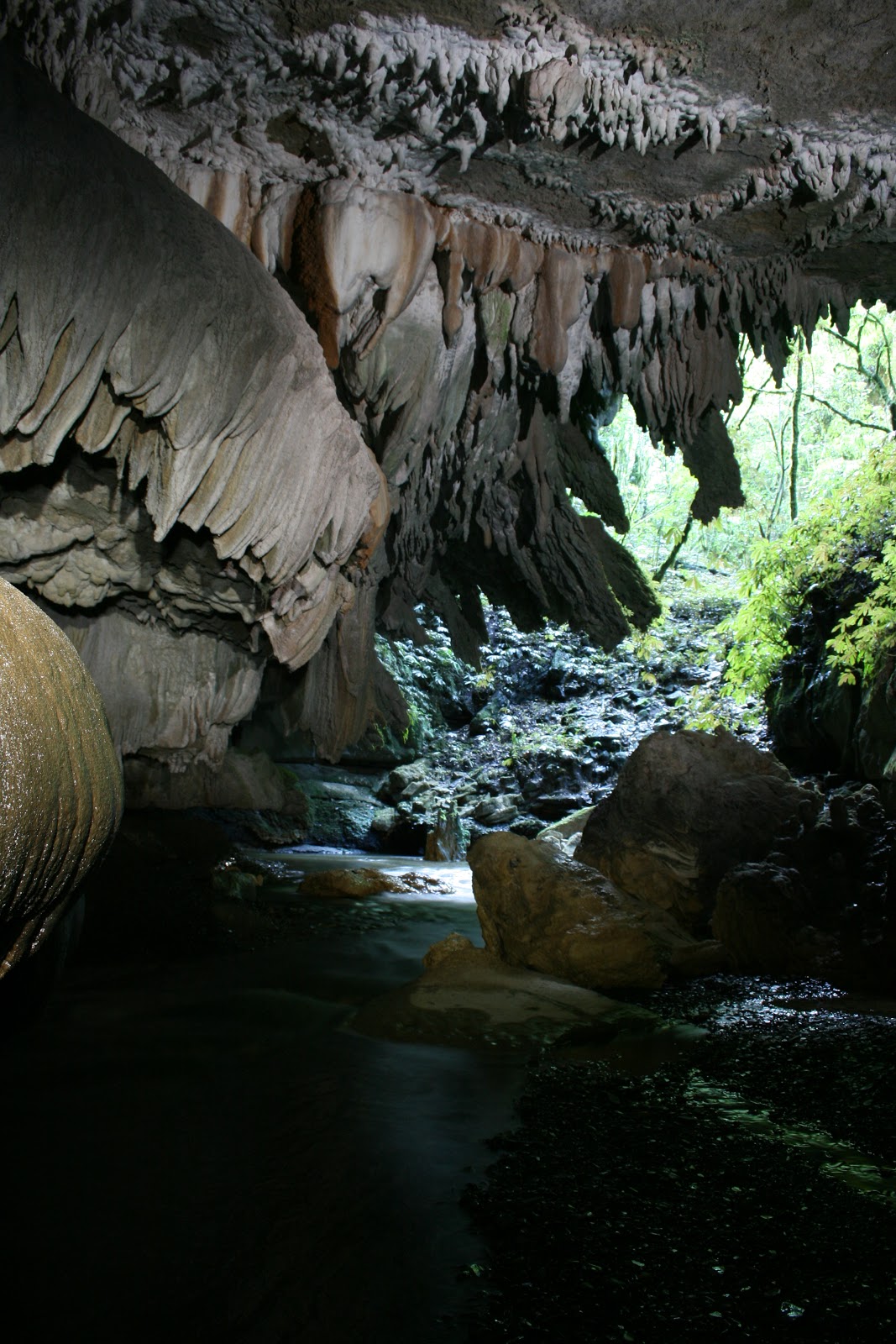 Wanderlust: Waitomo Caves