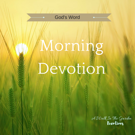 A Walk In The Garden: Lessons From Nature