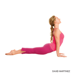 STRETCHING - FAVORITE YOGA POSITIONS - Lauren Gleisberg