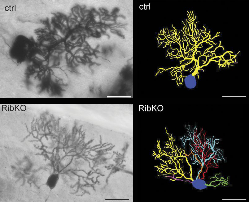 HighMag: April 29, 2013