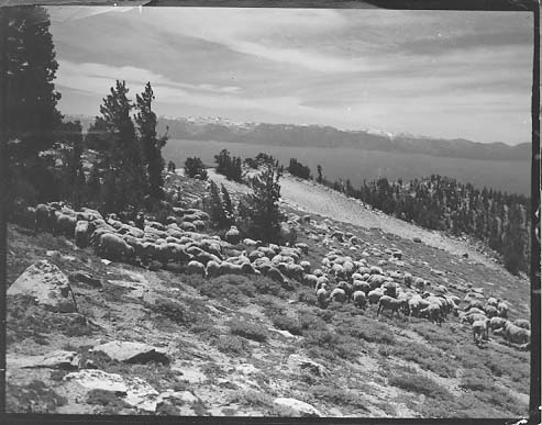 Cowboy Kisses: Basque Immigrants