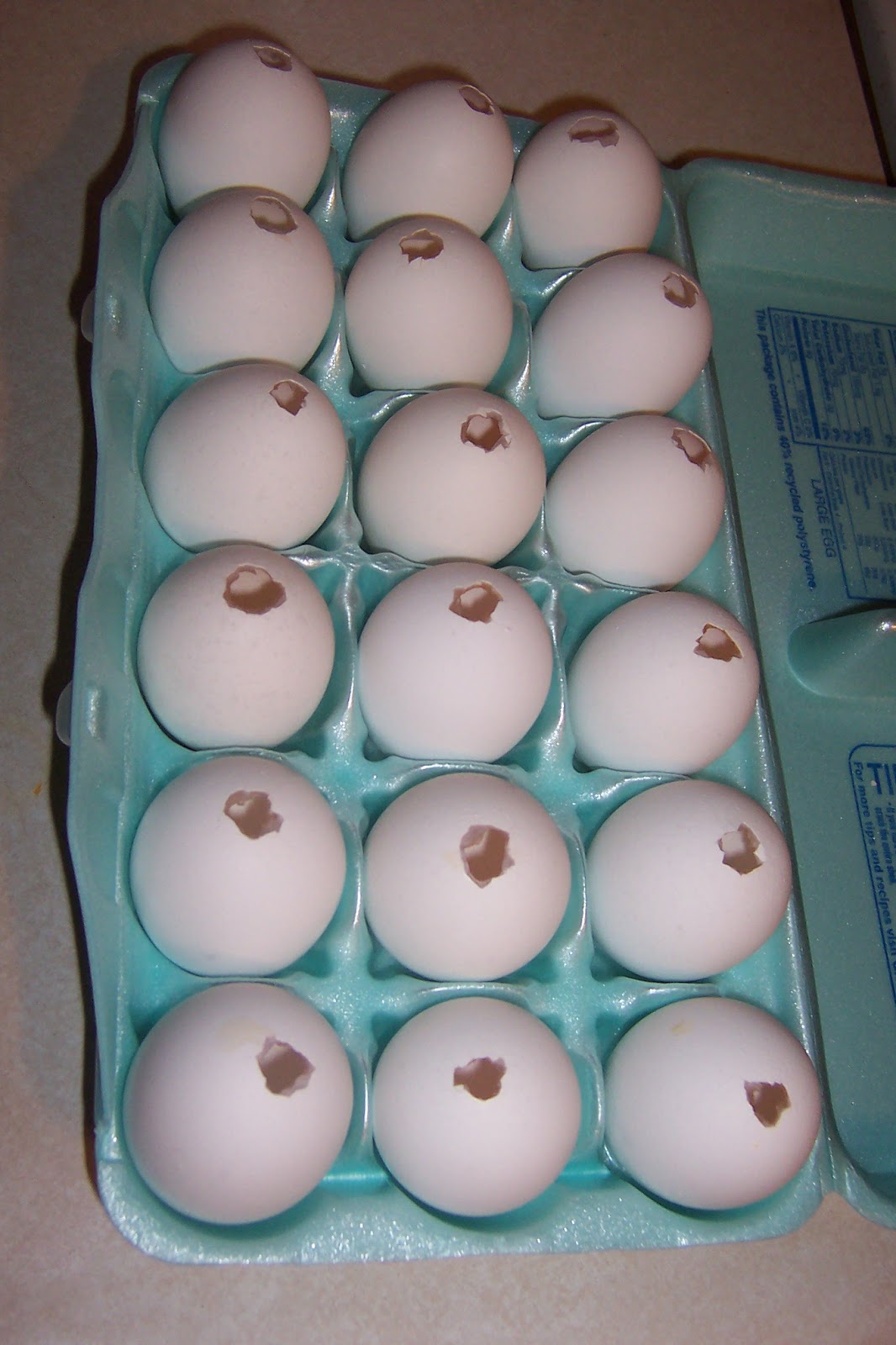 The DuVall Daily: Still amazing kids (and parents) everywhere! :-)