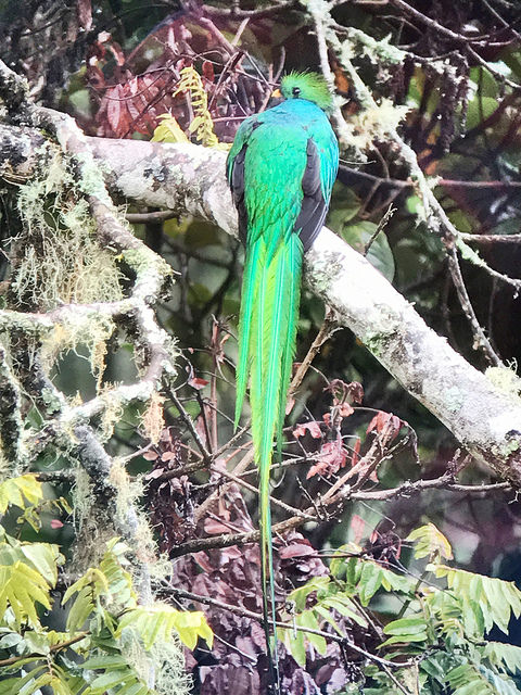 Ancient Maya Life: March 2018