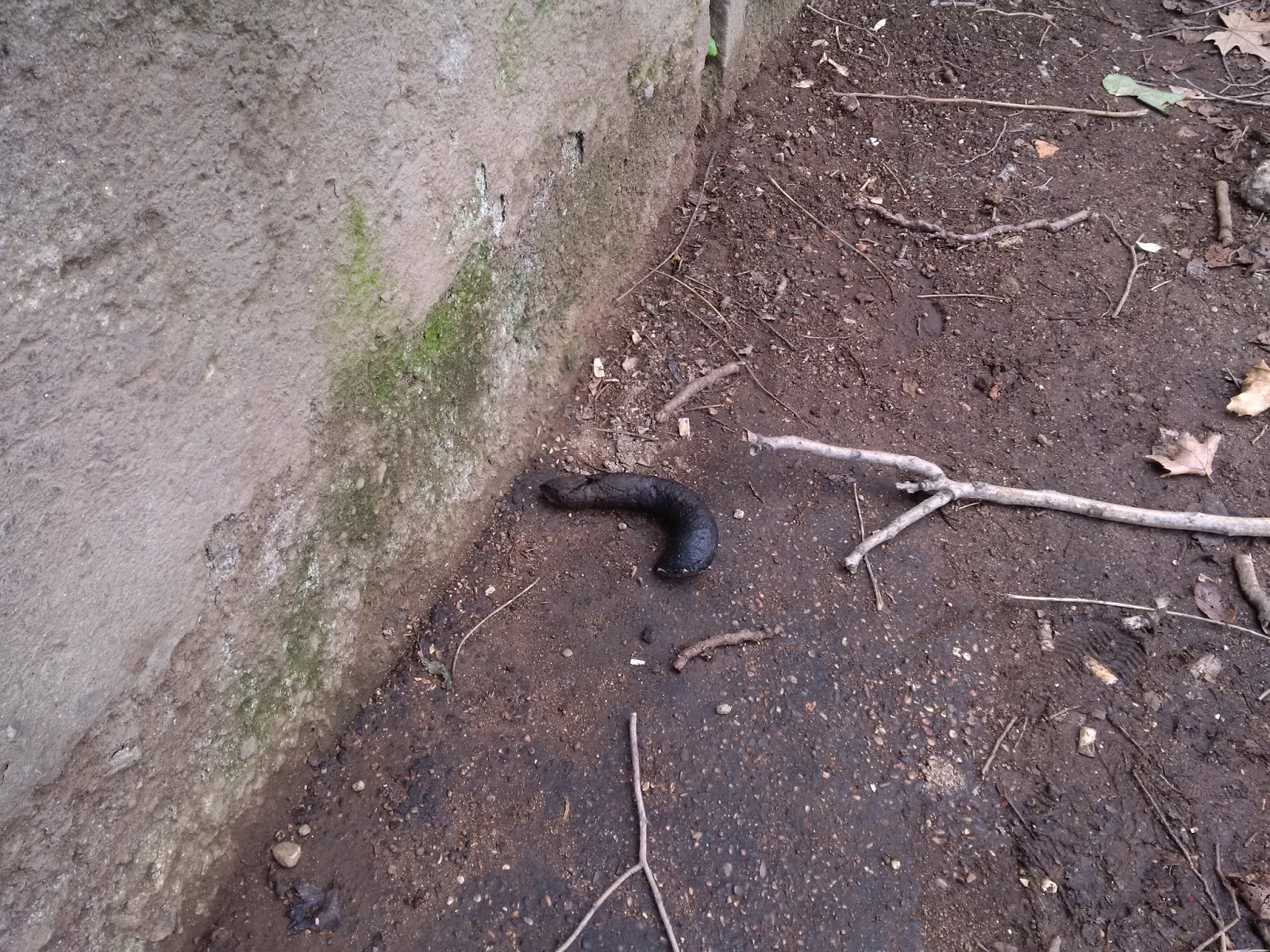 ROMA FA SCHIFO: Discarica e cacatoio a Porta Maggiore. Pensare che ...