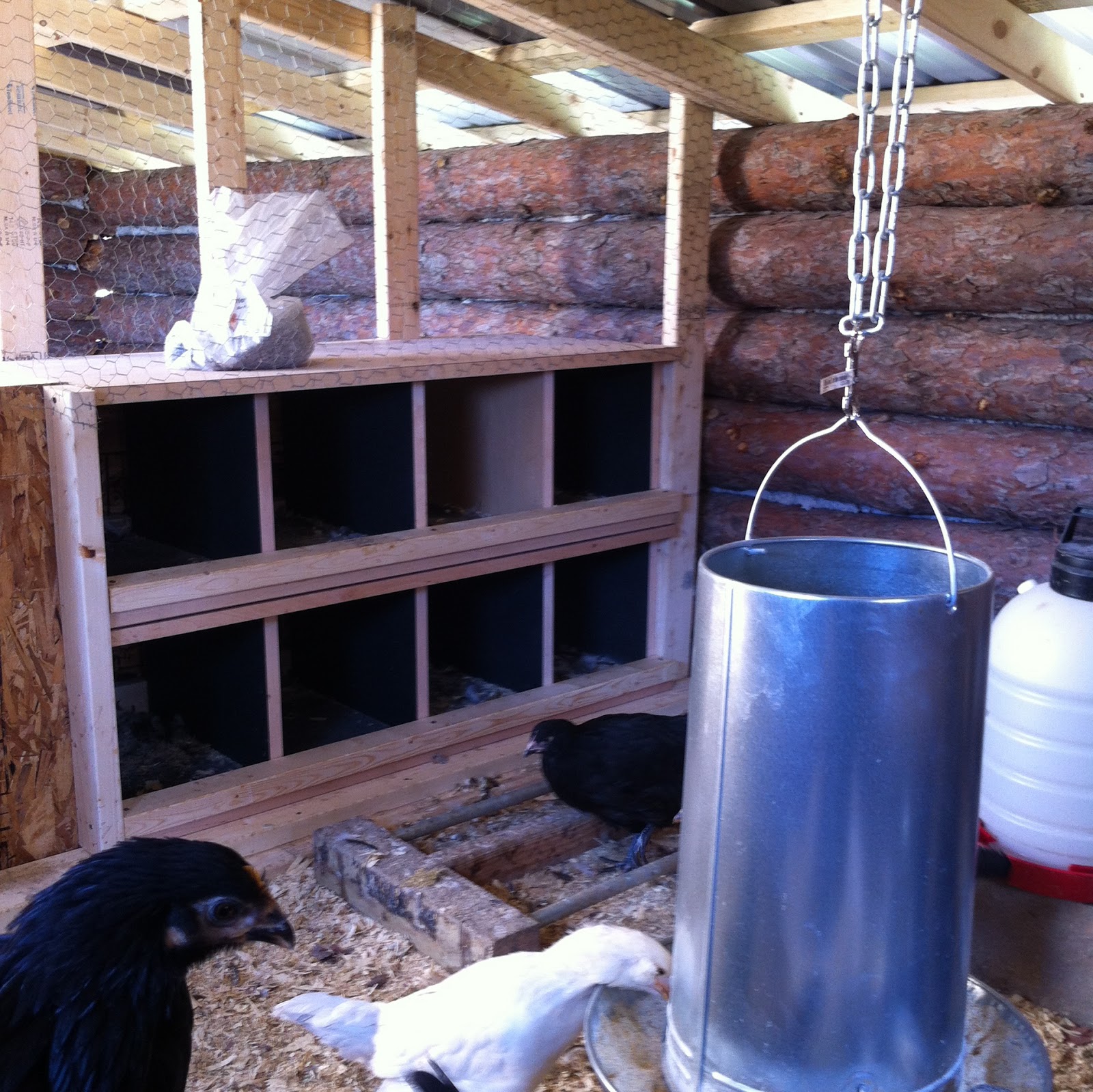 our little blue farmhouse...: Building a Log Chicken Coop: a story in ...