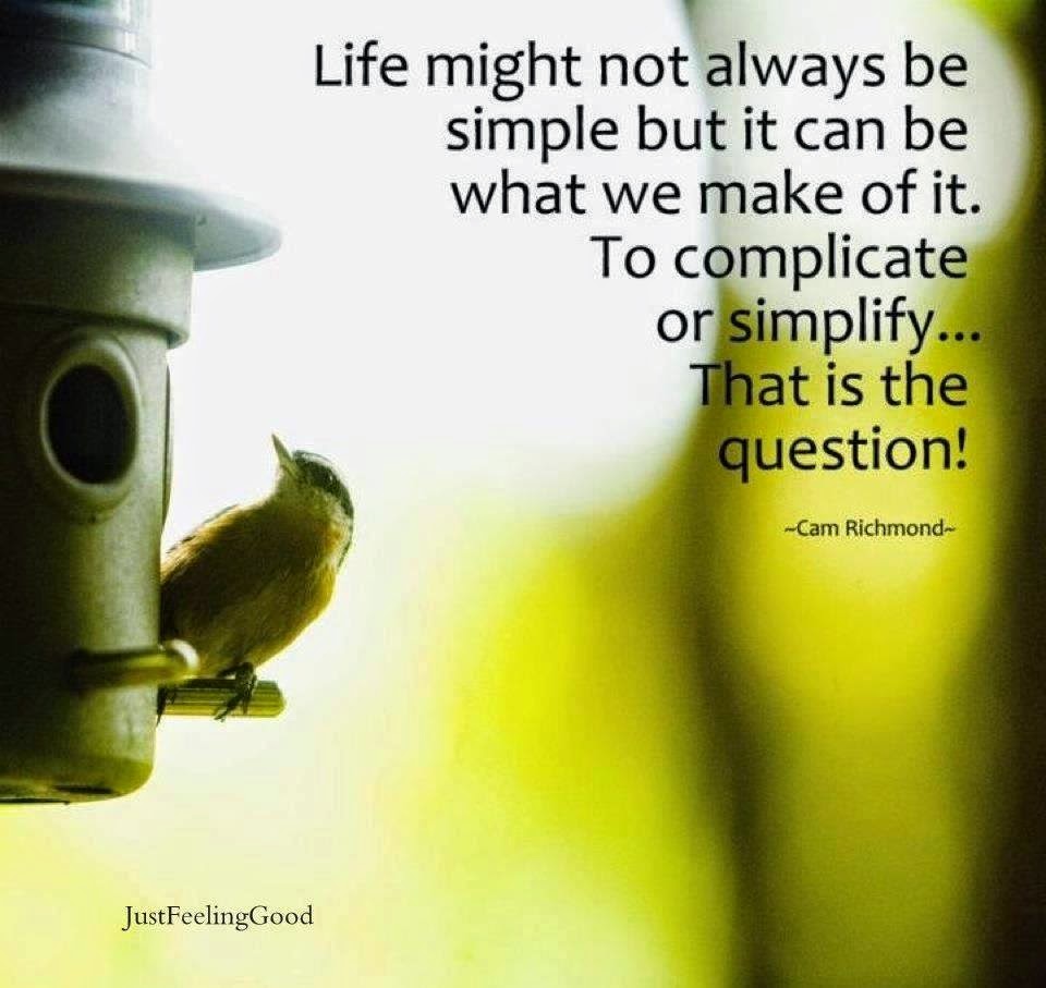 LIFE MIGHT NOT ALWAYS BE SIMPLE BUT IT CAN BE WHAT WE MAKE OF IT.TO ...