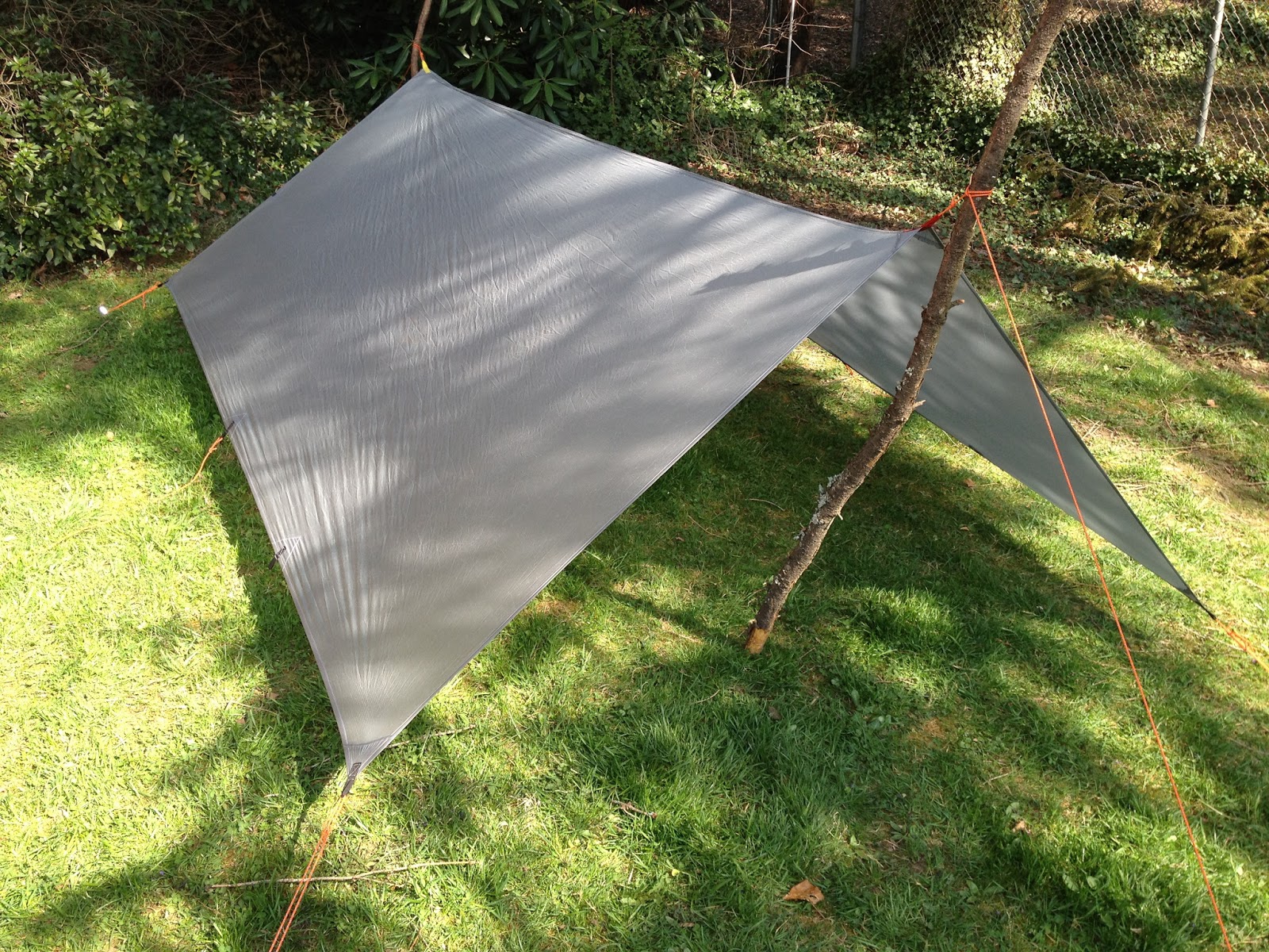 wind shaped tree: DIY Tarp - Morning Dew