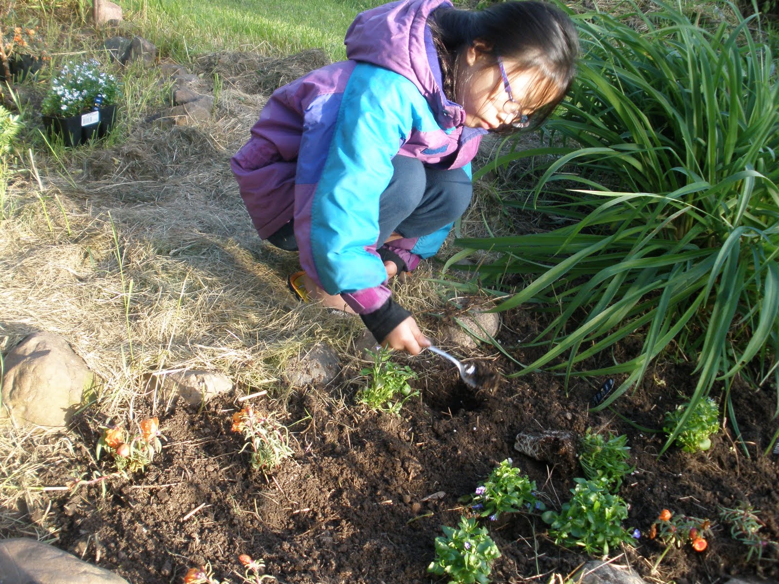 Planting a Flower Garden | Harvest Moon by Hand