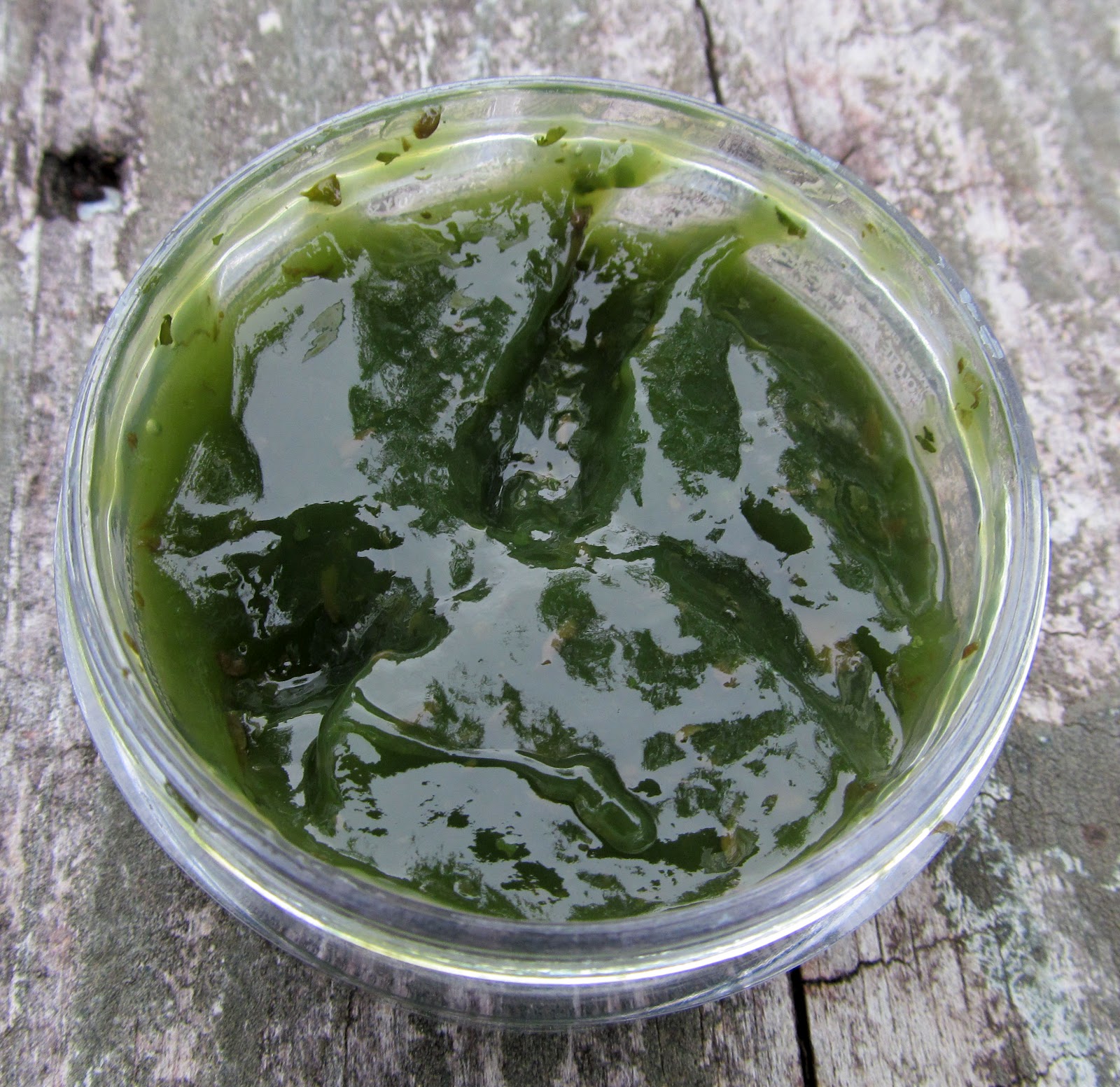 Bon Vivant Beauty: Eminence Stone Crop Masque